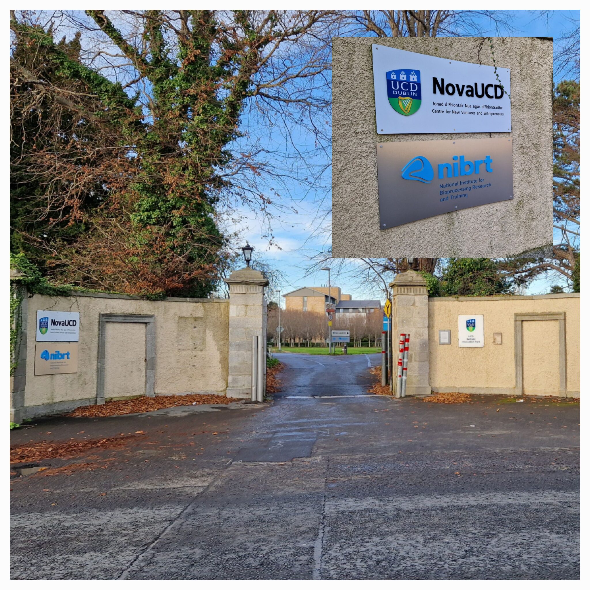 Contact - National Institute for Bioprocessing Research